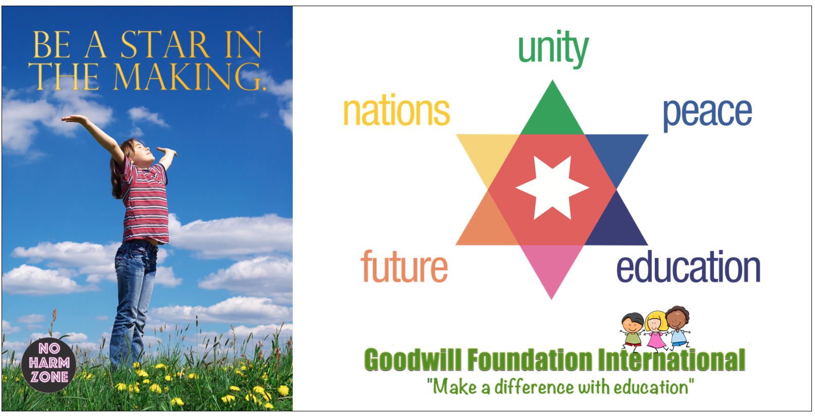 Foundation Goodwill Banner 2010